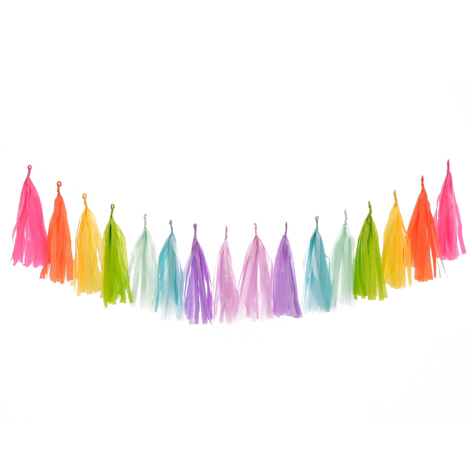 Bachelorette Party Decorations - Bach & Boujee Tissue Paper Tassel ...